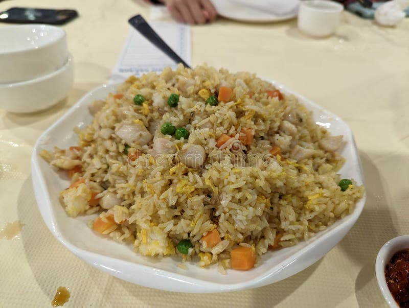 Chicken Salted Fish Fried Rice Stock Image - Image of lunch, dish ...