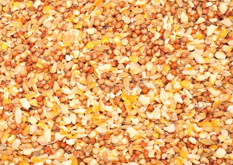 Chicken Scratch Texture stock photo. Image of grain, color - 21852010