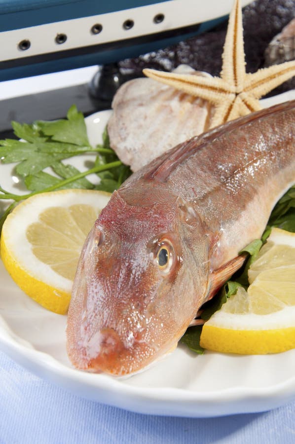 Mix of fresh fish stock image. Image of flat, collage - 25383077