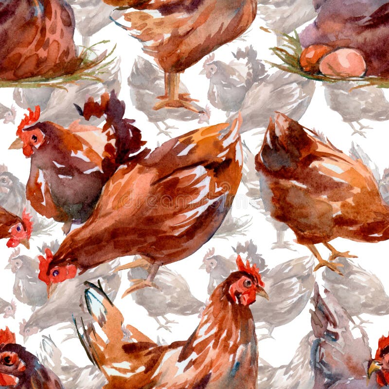 594 Seamless Chicken Pattern Stock Photos - Free & Royalty-Free Stock ...