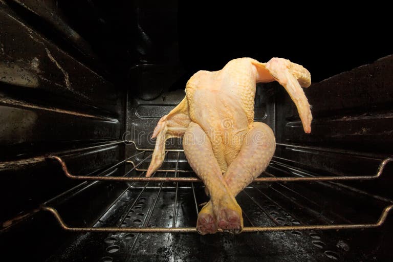 421 Rotten Chicken Stock Photos - Free & Royalty-Free Stock Photos from ...