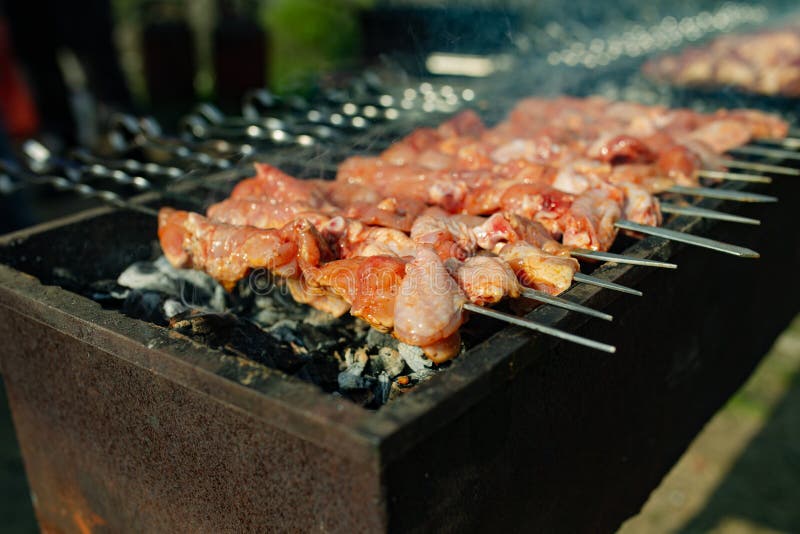 Chicken Shish Kebab is Grilled on the Grill in Nature Stock Photo ...