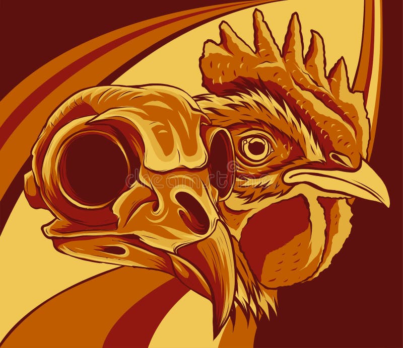 Chicken Skeleton Anatomy Stock Illustrations – 45 Chicken Skeleton ...