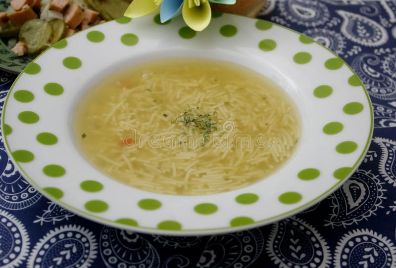 Chicken soup with noodles stock photo. Image of potage - 106838958