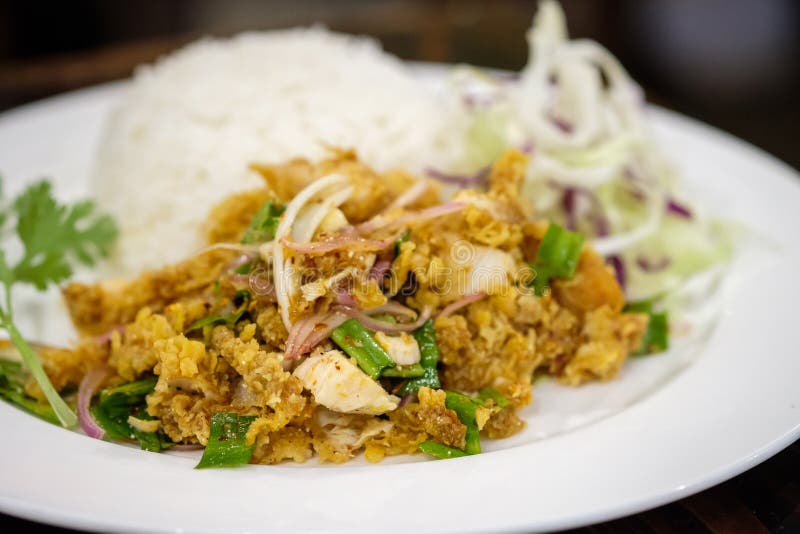 Chicken spicy rice stock image. Image of food, asian - 97261859