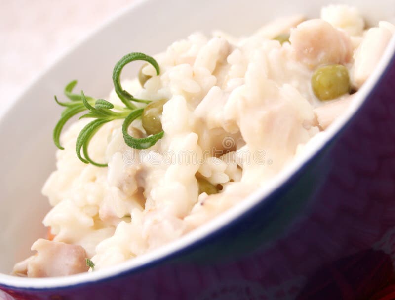 Chicken stew with rice stock photo. Image of gourmet - 37197016