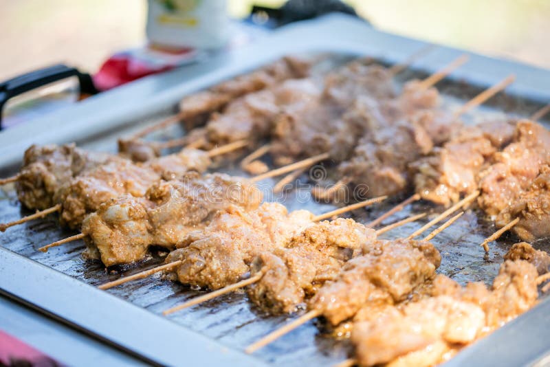 Chicken in a stick on BBQ stock photo. Image of family - 142061020