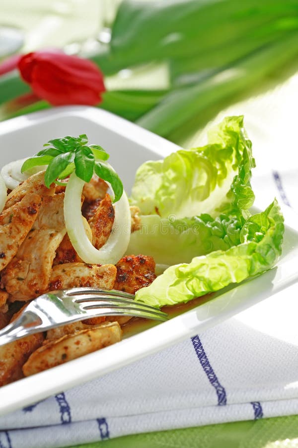 Chicken stripes with salad stock photo. Image of grilled - 2039314