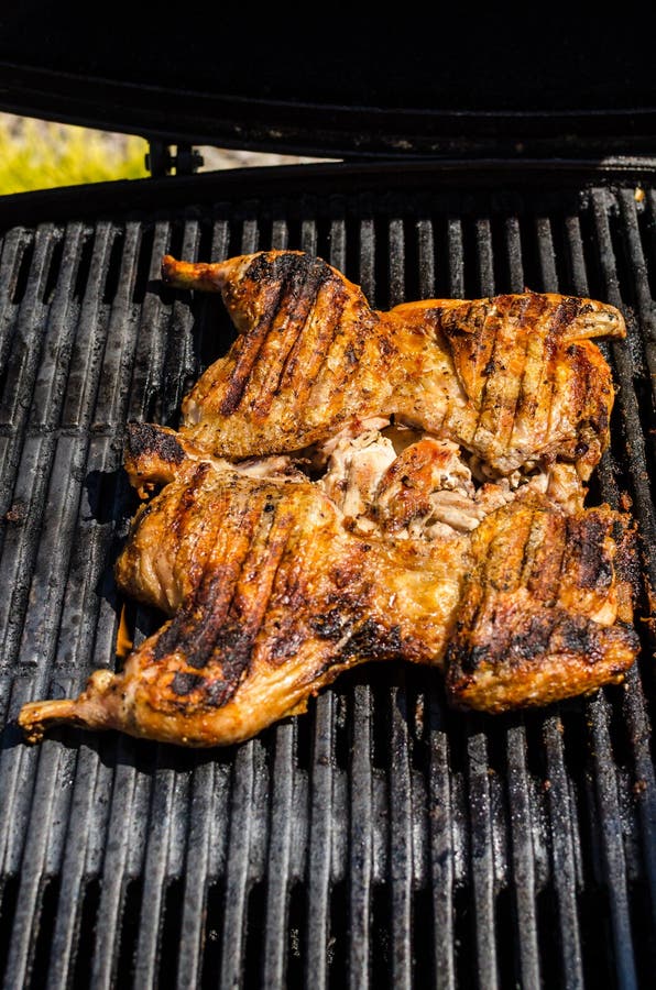 Chicken Under a Brick with Panzanella Salad Stock Image - Image of ...