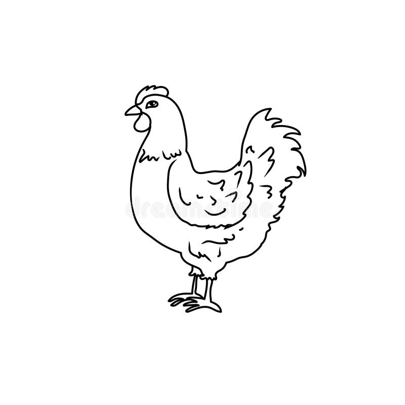 Chicken Vector Hand Drawn Illustration Black Outline Stock Vector ...