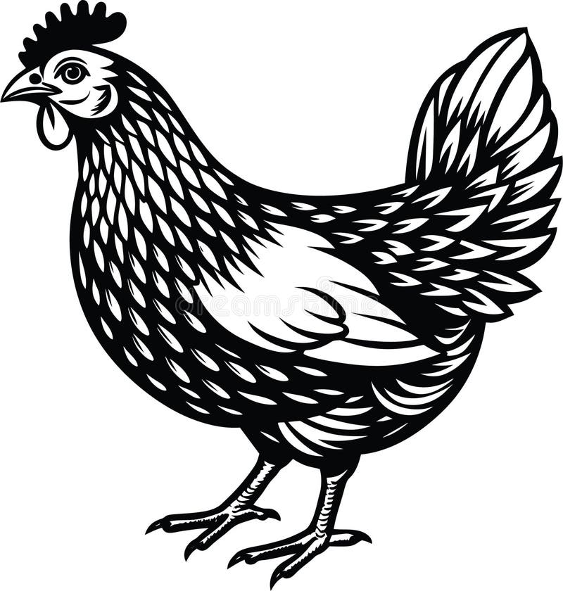 Chicken Vector Illustration Art Stock Vector - Illustration of vector ...