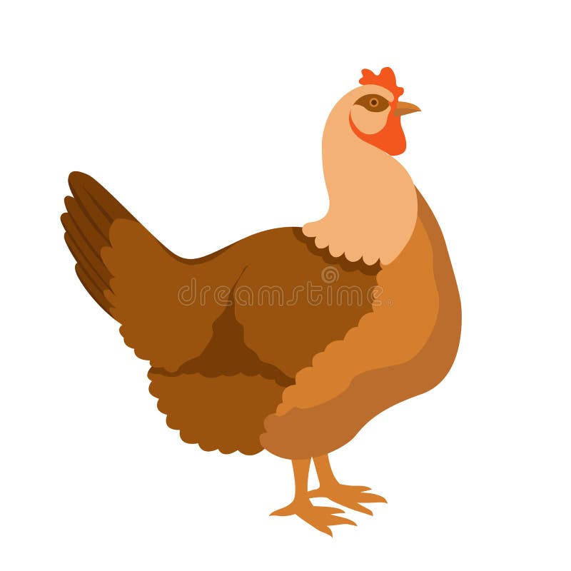 Chicken Vector Style Flat Color Profile Stock Vector - Illustration of ...