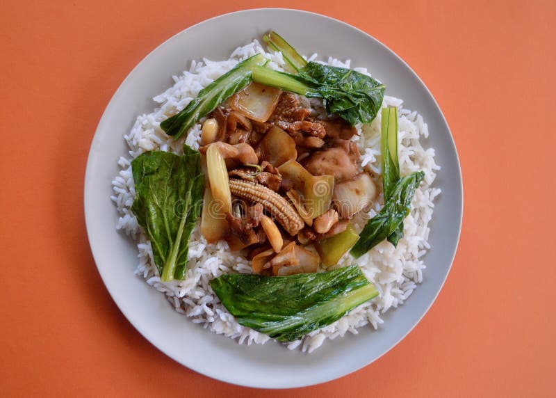 Chinese Style Chicken Vegetables, and Rice on a Plate. Editorial Stock ...
