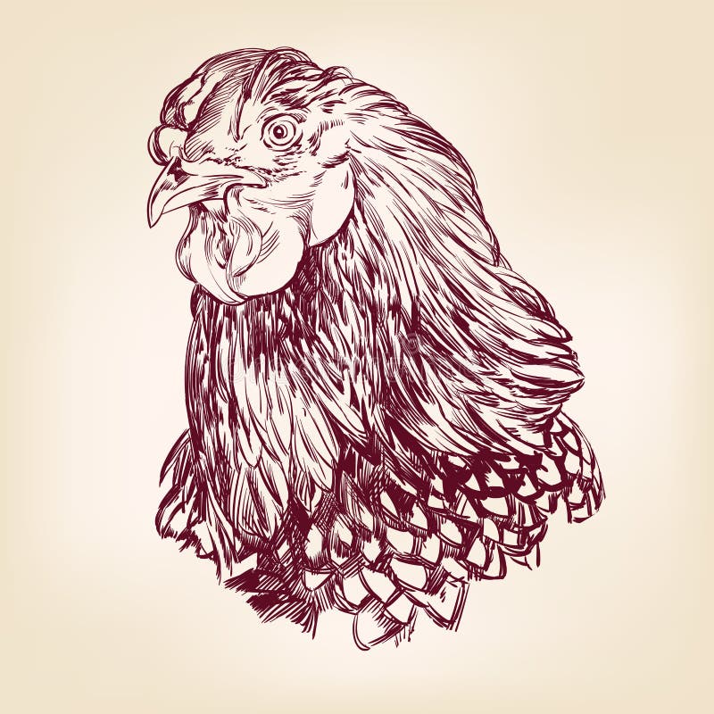 Retro Cartoon Chicken Stock Illustrations – 8,299 Retro Cartoon Chicken ...