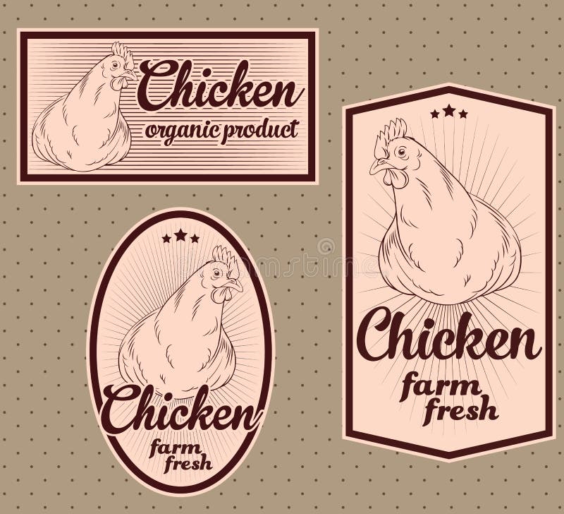 Chicken vintage labels stock vector. Illustration of badge - 43883335
