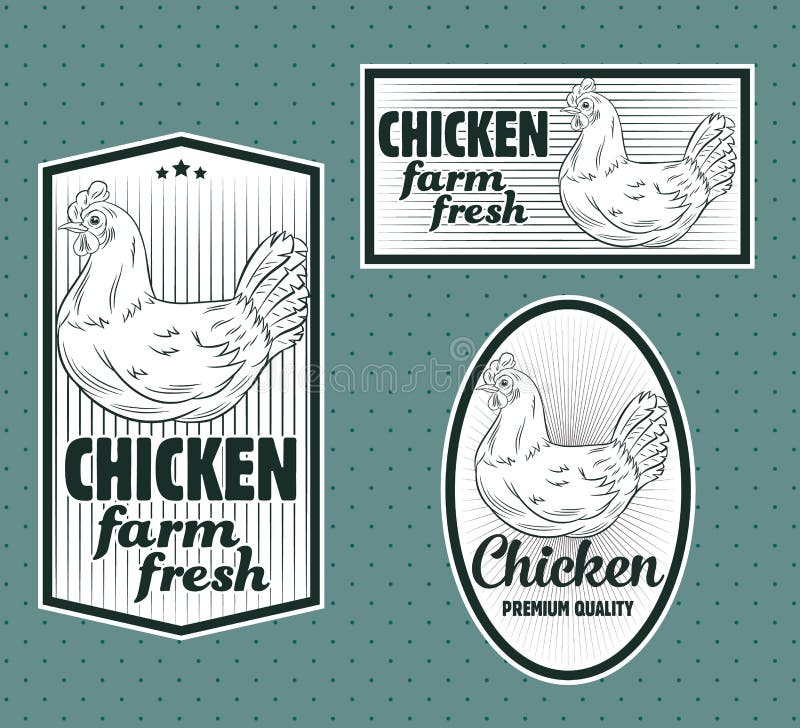 Chicken vintage labels stock vector. Illustration of bird - 43883328