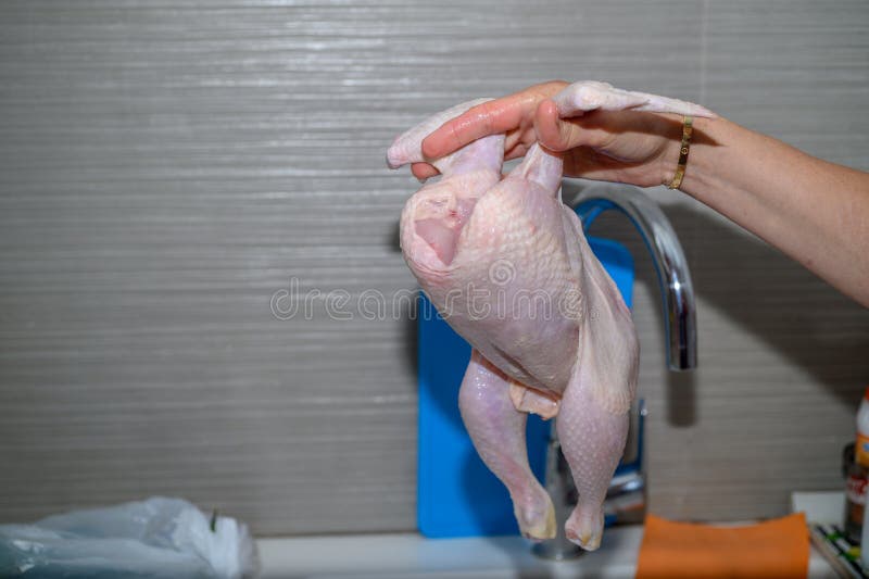 Chicken Washed before Cooking in the Hands of a Woman in the Kitchen 1 ...