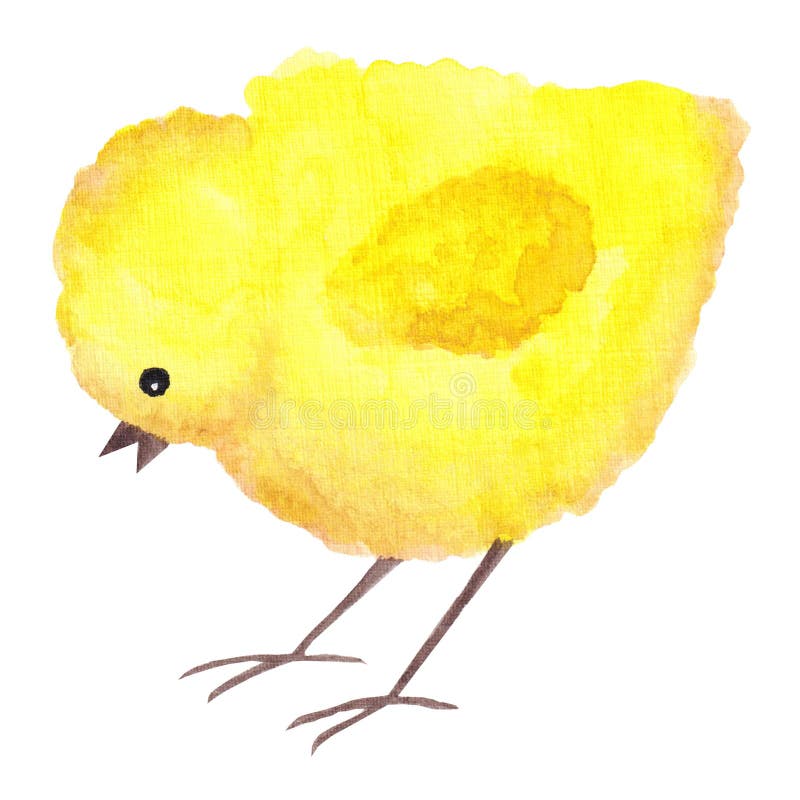Cute Yellow Fluffy Easter Chicken Stock Illustration - Illustration of ...