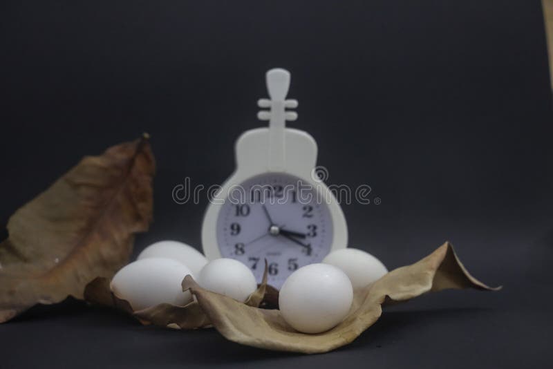 Chicken White Eggs Waiting To Hatch Near Clock , Black Background , Egg ...
