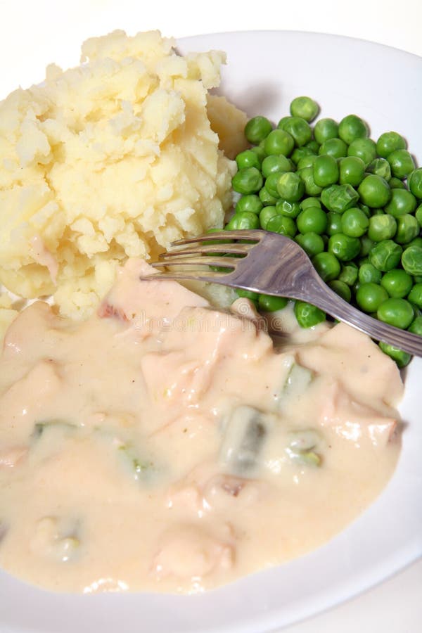 Chicken white sauce dinner stock photo. Image of food - 4056464