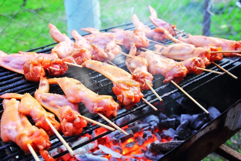Chicken wings stock image. Image of stove, chicken, grilled - 37073071