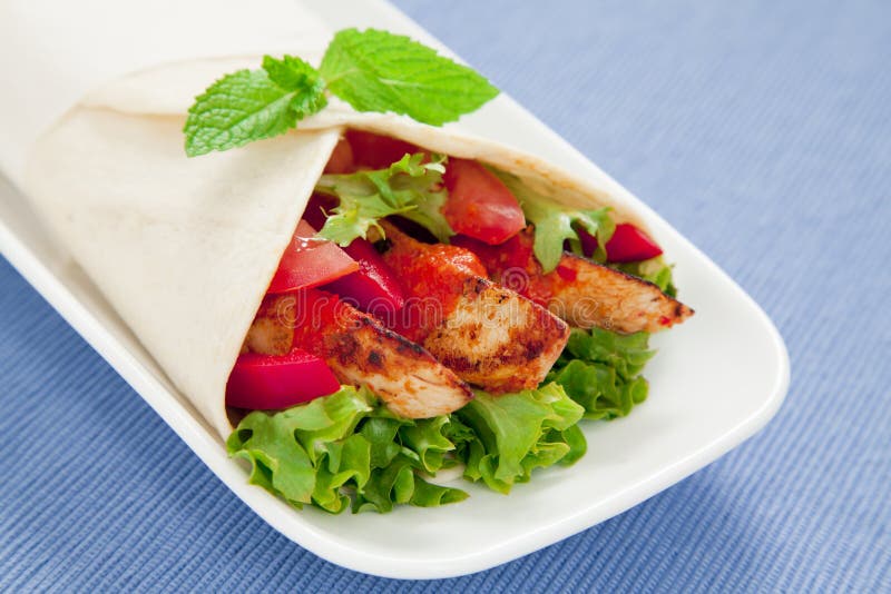 Chicken wrap stock image. Image of meat, gourmet, green - 28259355
