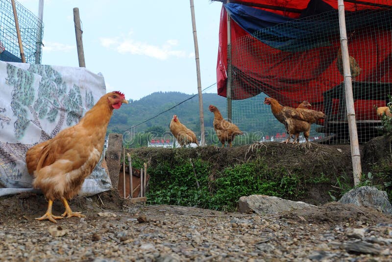 Wuyuan County, China, Huizhou Architecture Stock Image - Image of ...