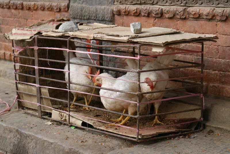 Boeing 747 stock image. Image of aircraft, landing, runway - 2065613