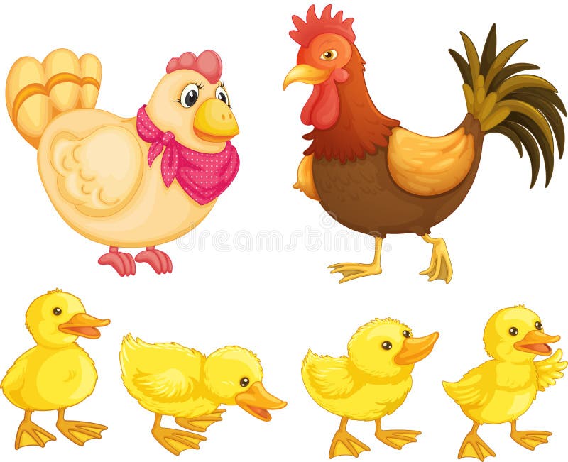 Chickens stock illustration. Illustration of easily, four - 40663241