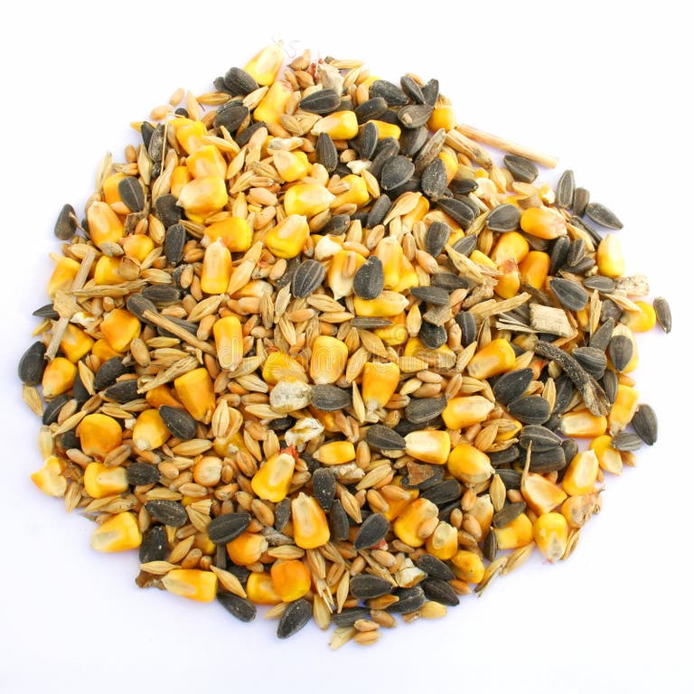 Chickens Feed Seed Mixture stock image. Image of bird - 20009927