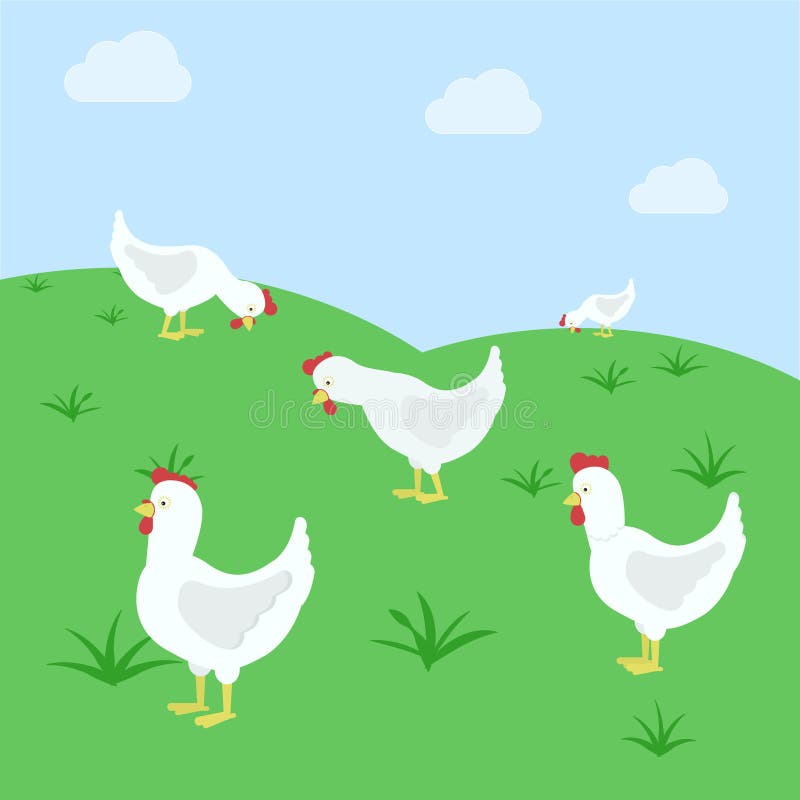 Pecking Stock Illustrations – 362 Pecking Stock Illustrations, Vectors ...