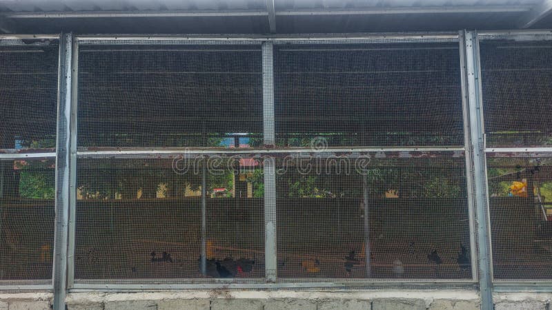 Rural Landscape Seen Inside Shelter Stock Photos - Free & Royalty-Free ...