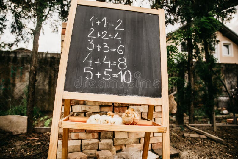 Chickens Learn Math, Animal School Stock Image - Image of formula ...