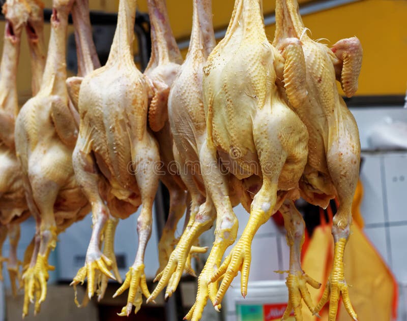 Hanging Dead Chicken Stock Photos - Free & Royalty-Free Stock Photos ...