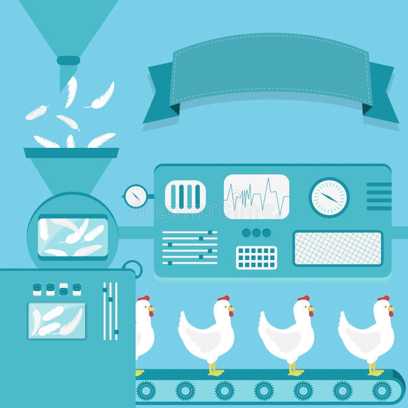 Chicken egg production stock vector. Illustration of agriculture - 77685036