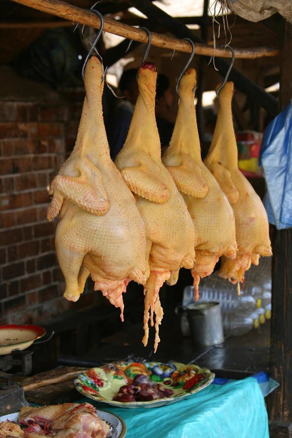 Chickens for sale stock image. Image of market, tropical - 306059