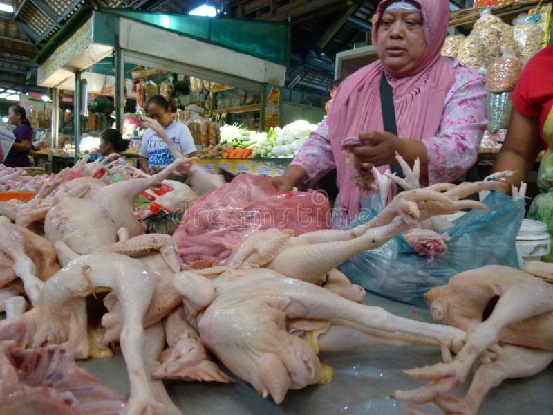 Chickens editorial stock photo. Image of food, traders - 66405063