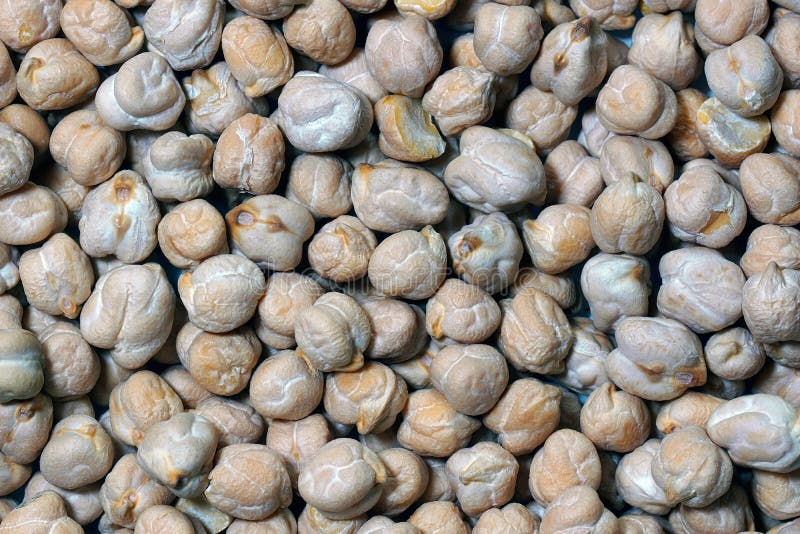 Chickpea seeds stock photo. Image of kabuli, vegetable - 94443426