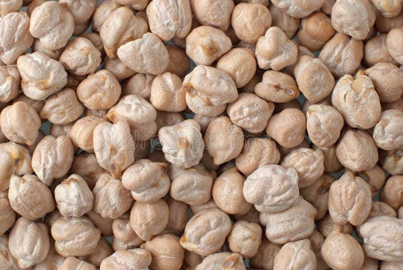 Chickpeas stock image. Image of healthful, legume, chickpeas - 18964299