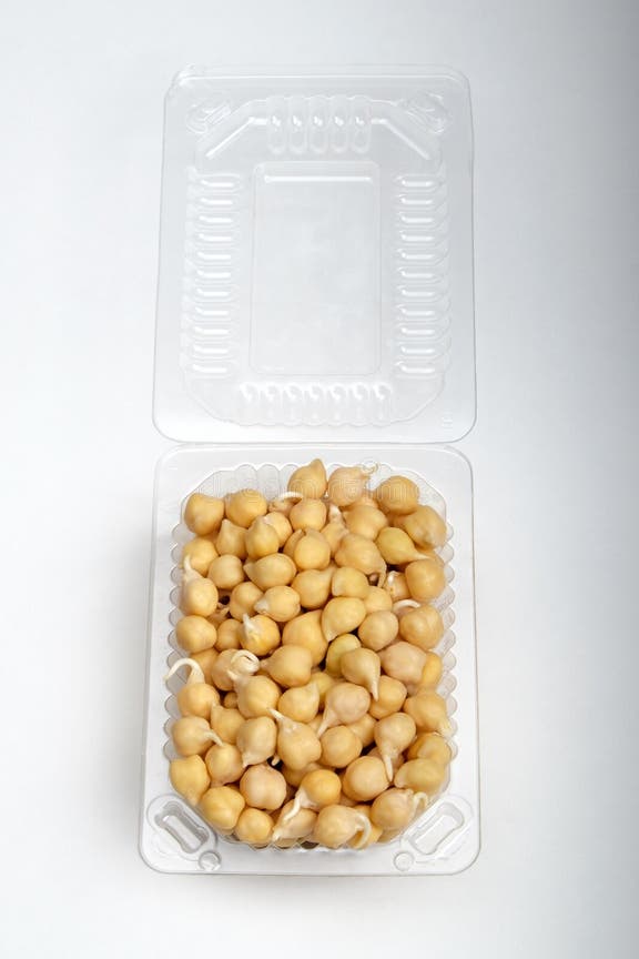 Chickpeas in a plastic box stock photo. Image of bean - 66719082