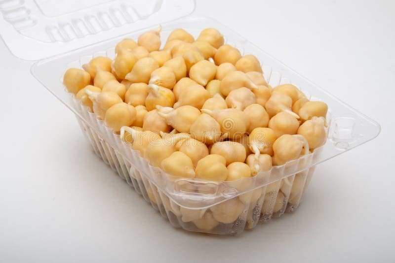 Chickpeas in a plastic box stock image. Image of germinate - 69675919