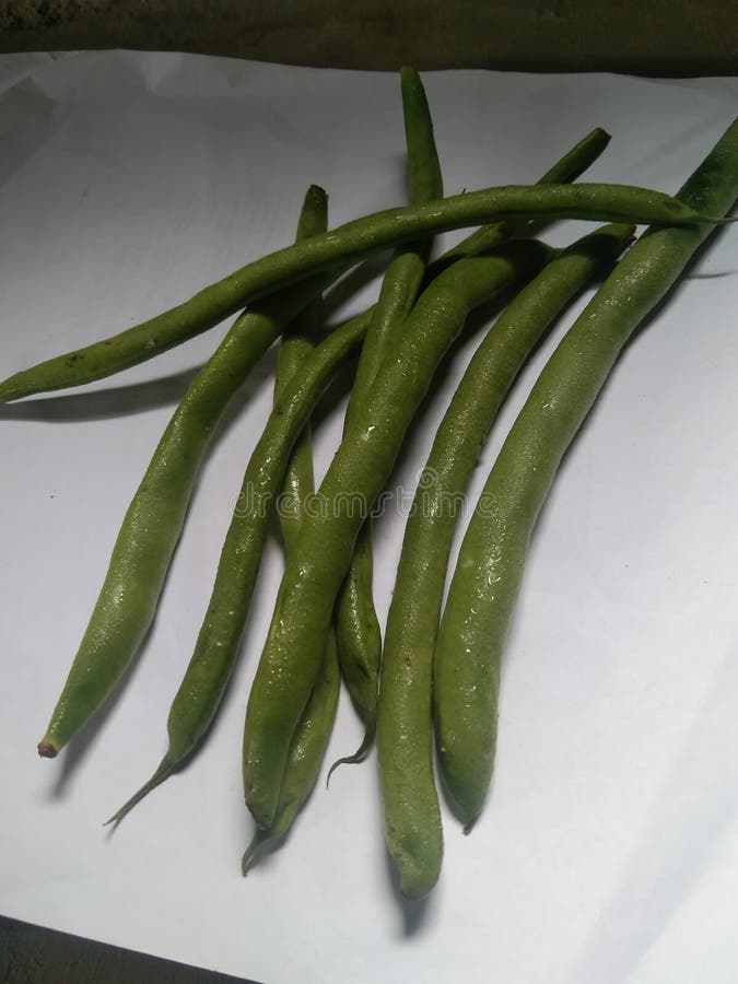 Chickpeas, a Type of Vegetable in the Form of Beans Stock Photo - Image ...