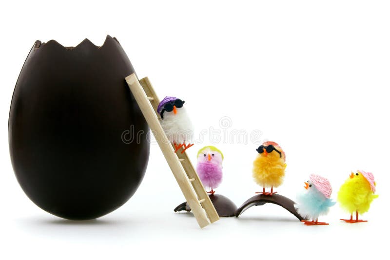 Chicks Cleaning for the Easter Stock Photo - Image of celebrations ...
