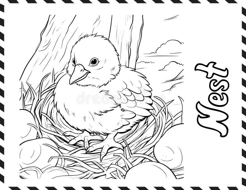 Nest Coloring Pages For Kids N Is For Nest Coloring Page | Free N Is