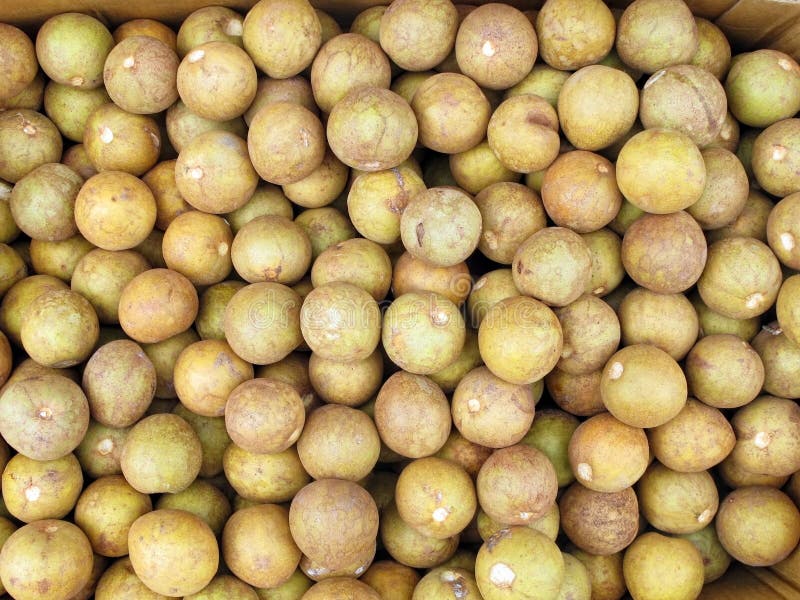 Chico Fruit stock image. Image of asian, pulp, chico - 23719595