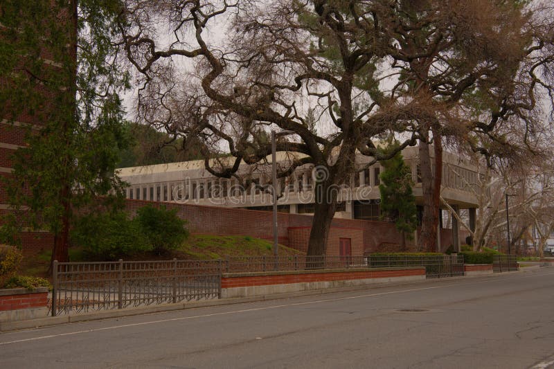 Chico State College Stock Photos - Free & Royalty-Free Stock Photos ...