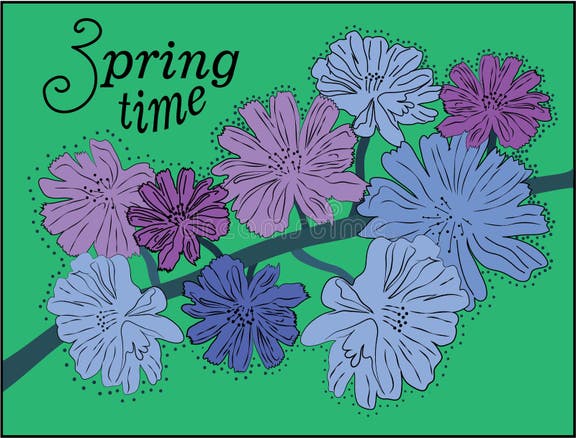 Chicory branch stock vector. Illustration of decorative - 216697549