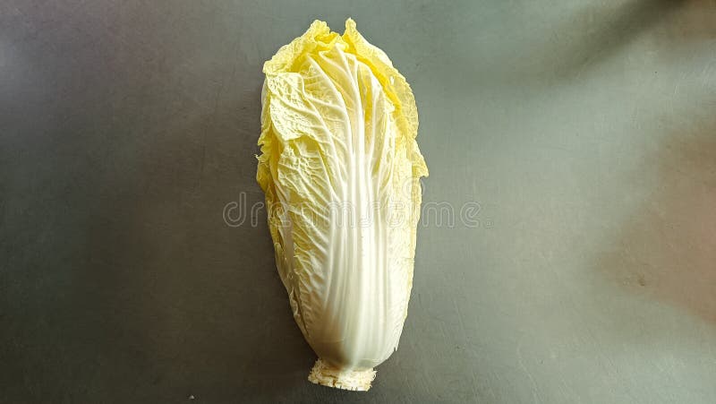 Chicory is Known As a Processed Vegetable Stock Image - Image of leaf ...