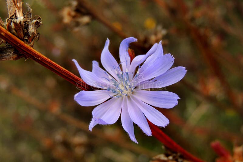 Cycore Stock Photos - Free & Royalty-Free Stock Photos from Dreamstime