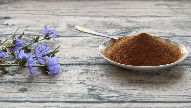 Chicory powder and flowers stock photo. Image of plate - 131661302